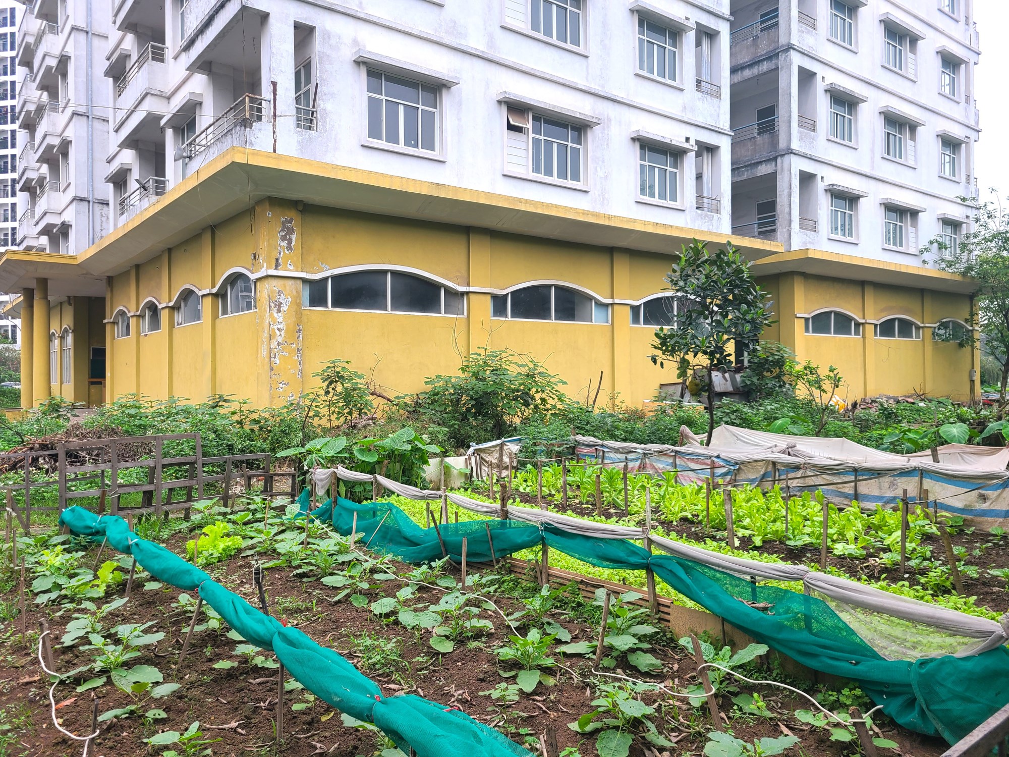 [Photostory] Nhiều dự án hoang hoá giữa cơn sốt chung cư Hà Nội